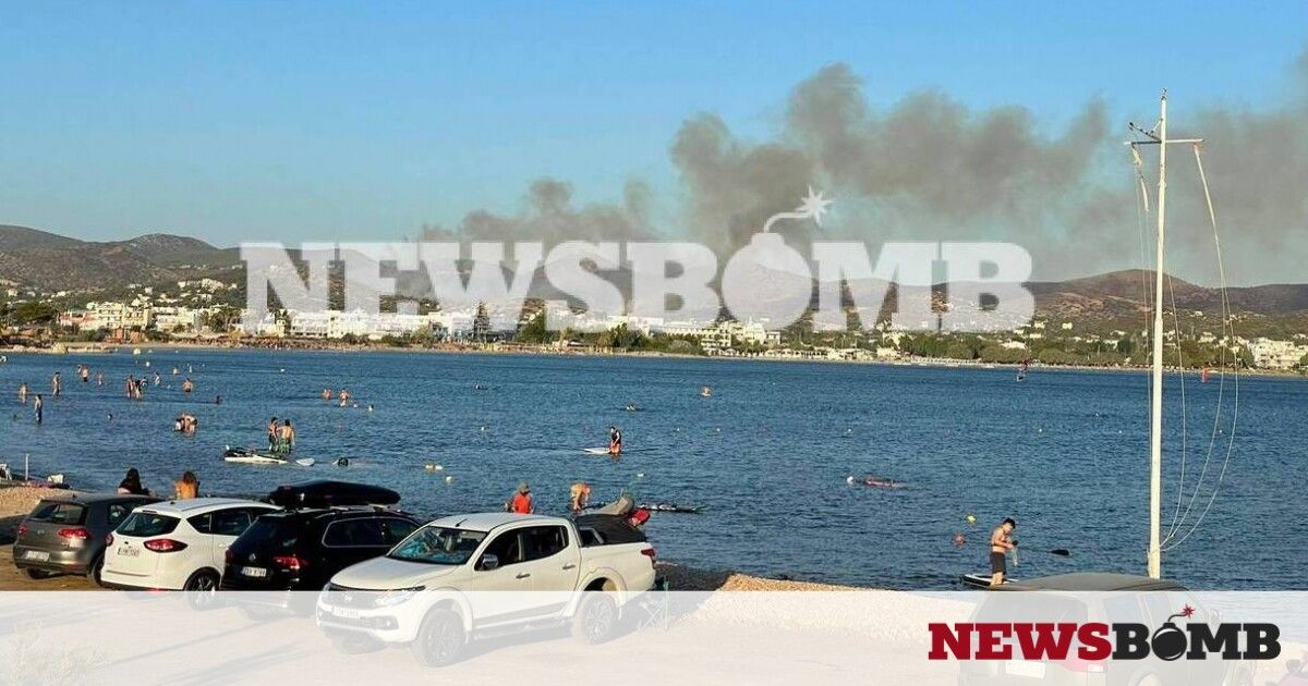 Φωτιά στην Ανάβυσσο: Οι πρώτες εικόνες από την μεγάλη πυρκαγιά (pics ...
