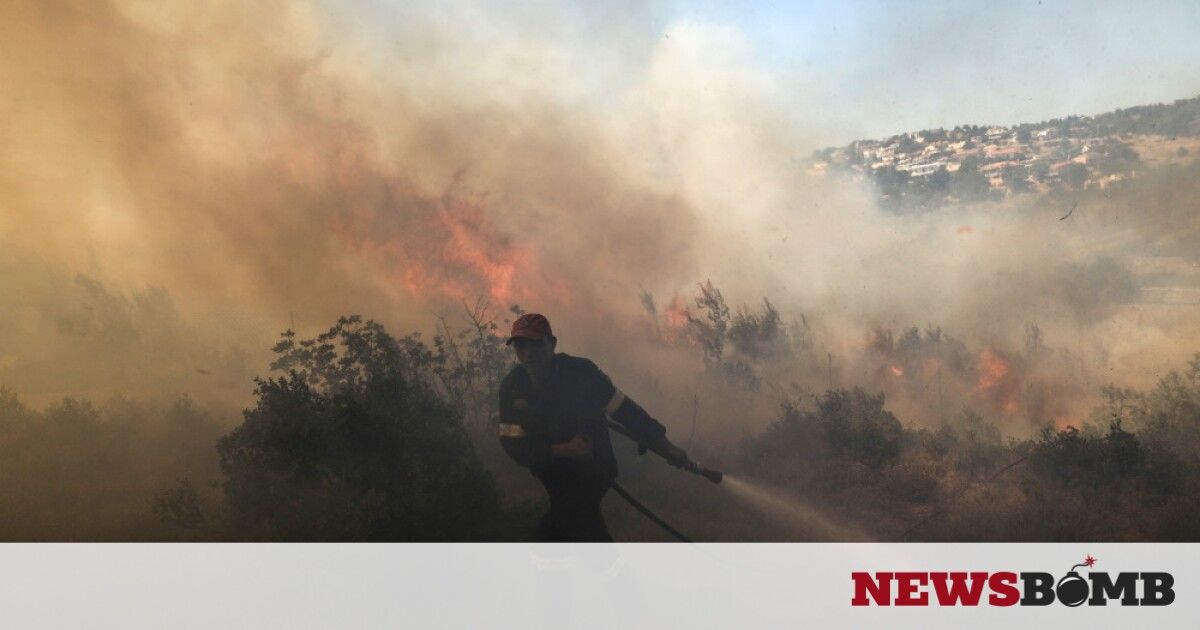 Φωτιά ΤΩΡΑ: Βίντεο από τη μεγάλη πυρκαγιά στον Βαρνάβα Αττικής - Newsbomb