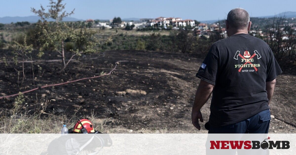 Φωτιά στη Χαλκιδική: Κρανίου τόπος – Τέθηκε υπό μερικό έλεγχο η ...