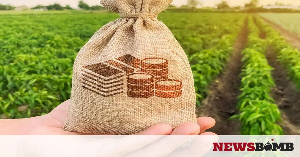 ΟΠΕΚΕΠΕ: Πού πήγαν οι επιδοτήσεις την τελευταία πενταετία - Πώς ...