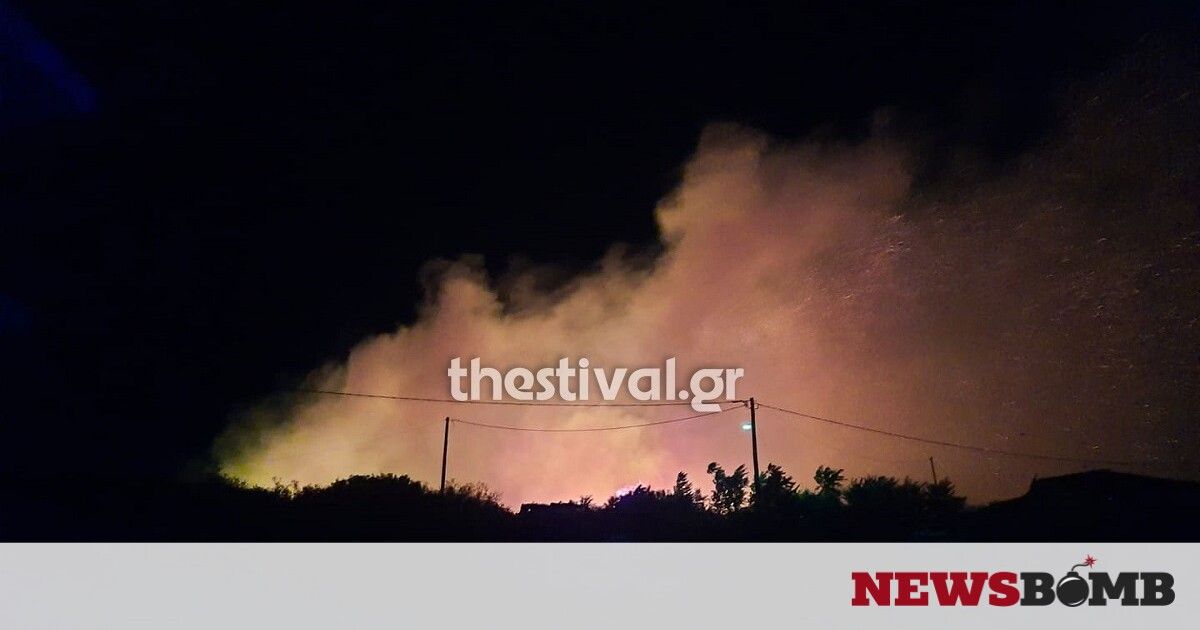 Θεσσαλονίκη: Φωτιά στη Νέα Ευκαρπία – Συναγερμός στην Πυροσβεστική ...