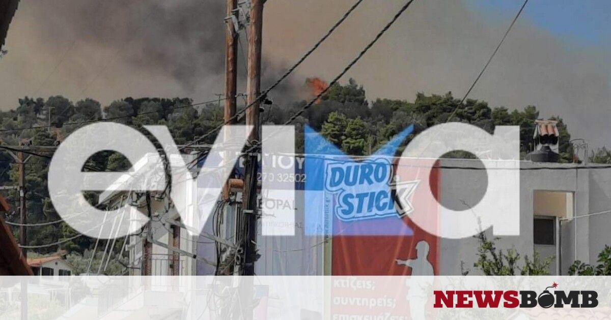 Φωτιά ΤΩΡΑ στη Λίμνη Ευβοίας - Newsbomb