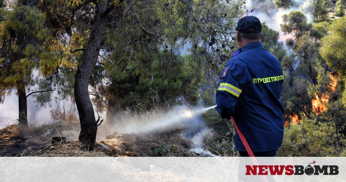 Φωτιά στην Χαλκιδική: Υπό έλεγχο η πυρκαγιά στον Ταξιάρχη - Newsbomb