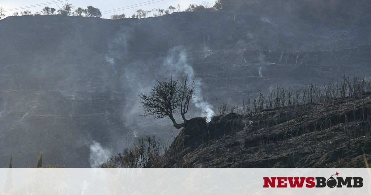 Φωτιές στην Αχαΐα: Βελτιωμένη η εικόνα στη Δροσιά - Οριοθετήθηκε η ...