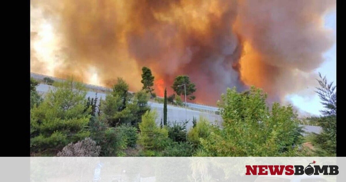 Φωτιά στην Αχαΐα - Ρεπορτάζ Newsbomb.gr: «Κάηκαν τουλάχιστον 20 με 30 ...