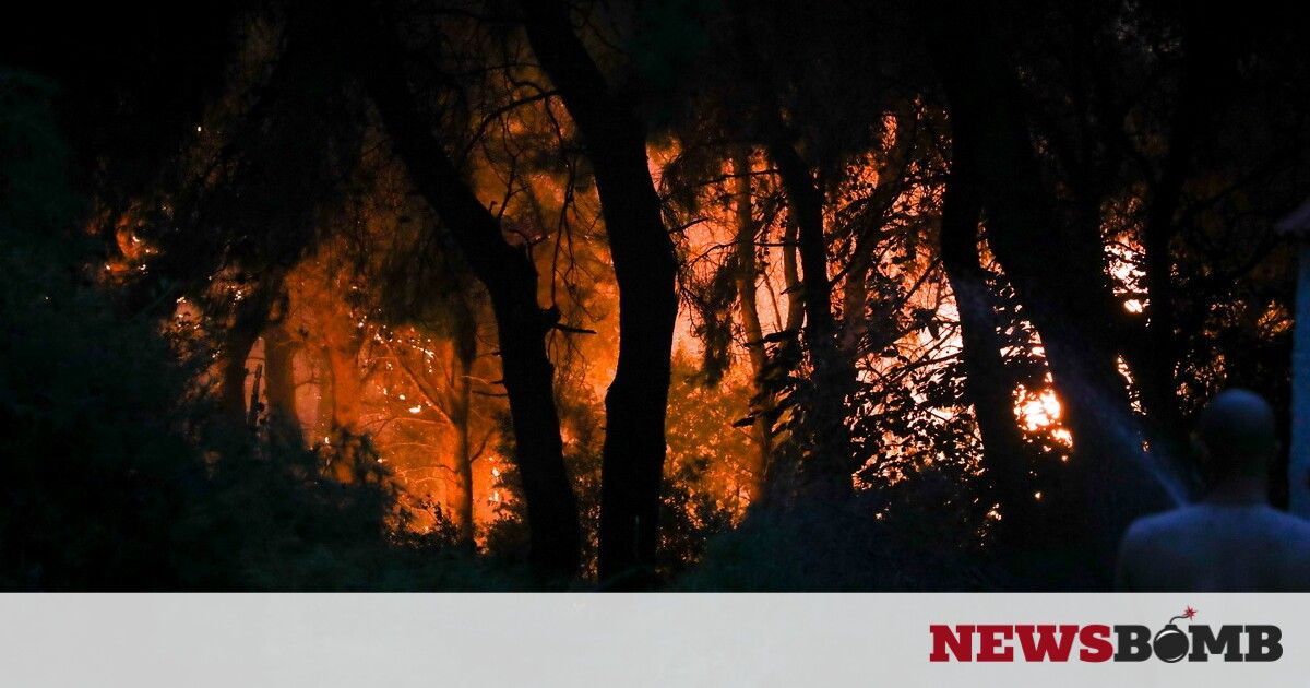Φωτιά στη Βαρυμπόμπη - Πατούλης: Έχουμε πολλές μικρές και διάσπαρτες ...