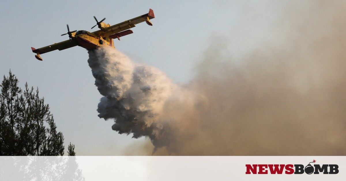 Φωτιά ΤΩΡΑ στη Μεσσηνία: Ξέσπασε πυρκαγιά στην Κάτω Μέλπεια - Newsbomb
