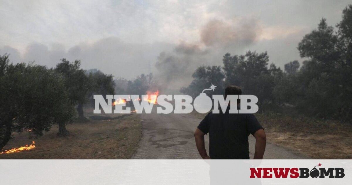 Ανεξέλεγκτη η φωτιά στην Εύβοια: Εκατοντάδες απεγκλωβισμοί πολιτών ...