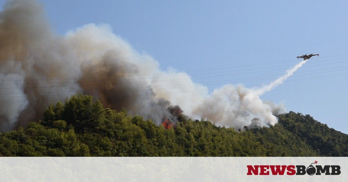 Φωτιές στη Λάρισα: Υπό έλεγχο οι πυρκαγιές σε Σαραντάπορο και Ανατολή ...