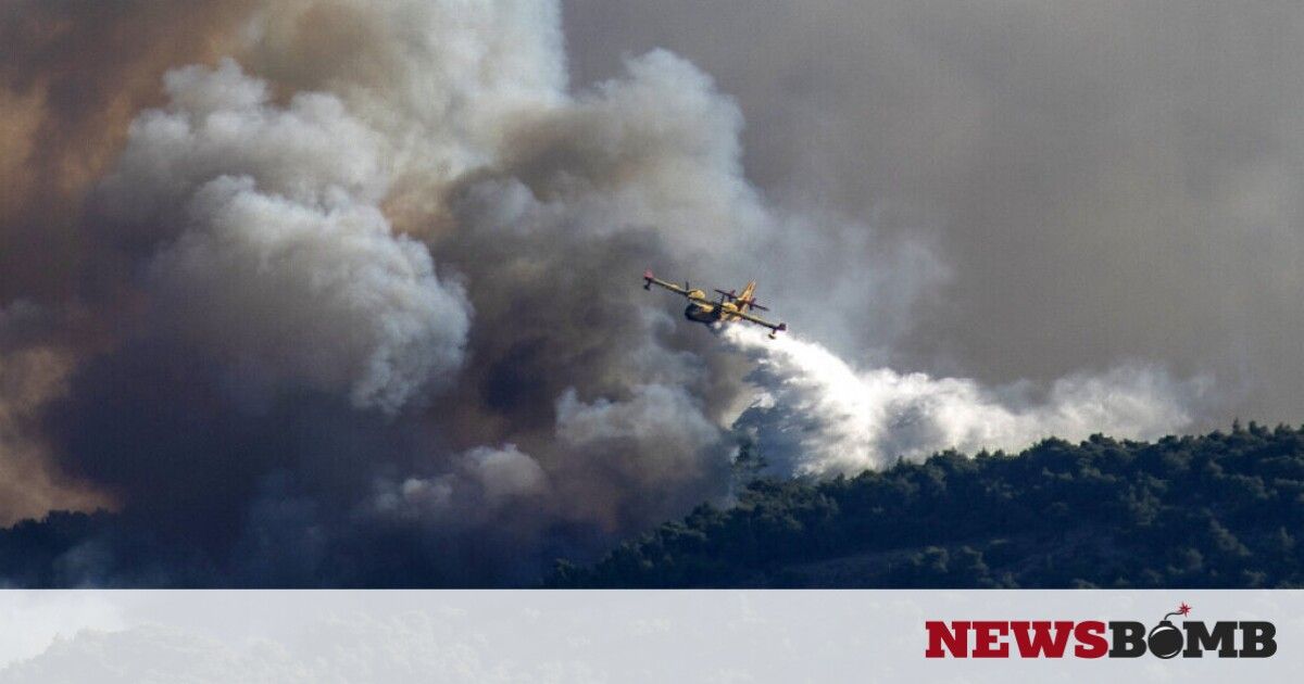 Φωτιές στην Ελλάδα: Αναλυτικά οι πυροσβεστικές δυνάμεις επιχειρούν ...