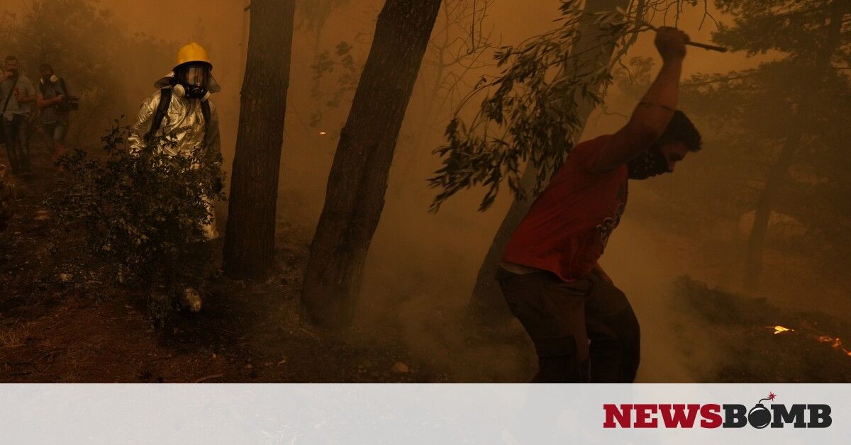 Φωτιά στην Εύβοια: Η βιβλική καταστροφή απο ψηλά - Στάχτη και αποκαϊδια ...