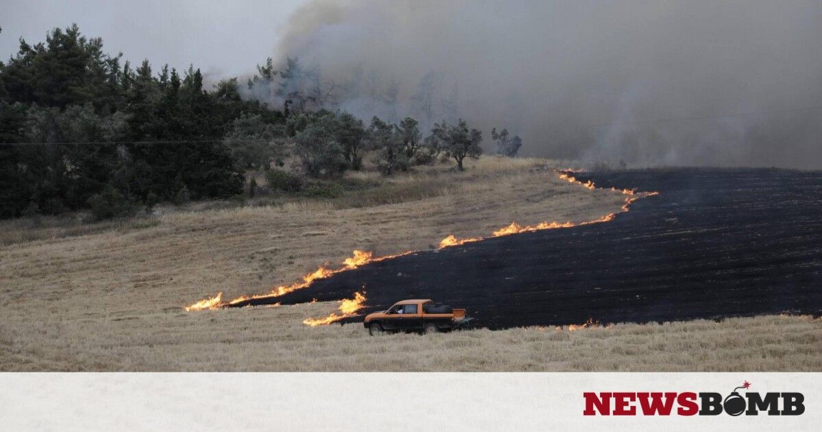 Η Εύβοια στις φλόγες: Ο «εφιάλτης» της πυρκαγιάς σε 10 συγκλονιστικά ...