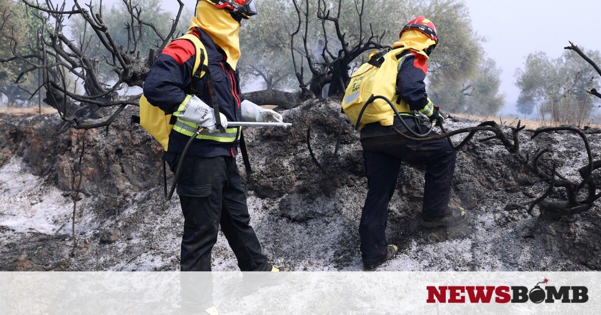 Πυρκαγιές στην Ελλάδα 1980 – 2020: Τα τελευταία 41 χρόνια έχει καεί το ...