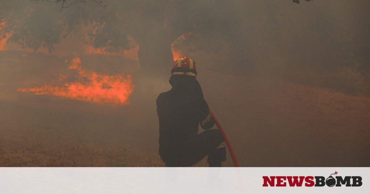 Φωτιές στη Χαλκιδική: Πυρκαγιές στη Σιθωνία και στην Κασσάνδρα - Newsbomb