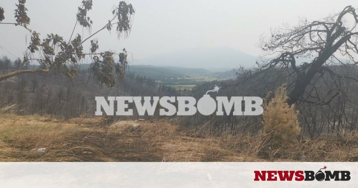 Οδοιπορικό Newsbomb.gr στη Βόρεια Εύβοια: Ο παράδεισος χάθηκε, η ελπίδα ...