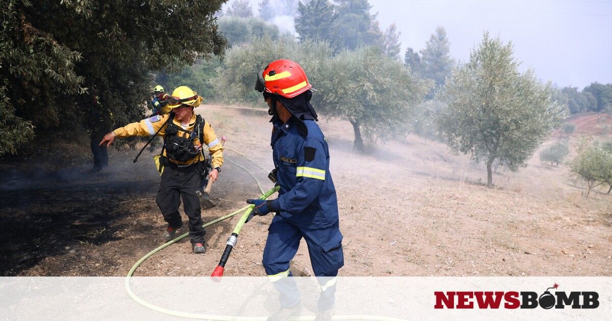 Φωτιά στη Γορτυνία: Ολονύχτια μάχη με διάσπαρτες εστίες φωτιάς έδωσαν ...