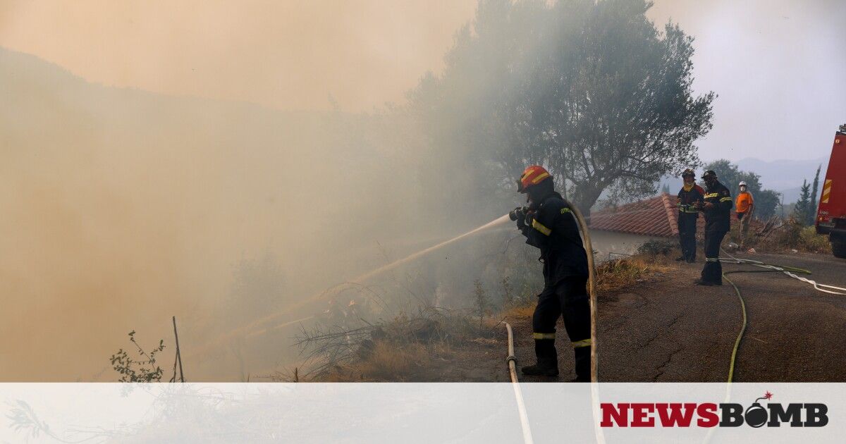 Φωτιές στη Χαλκιδική: Υπό έλεγχο τα πύρινα μέτωπα που προκλήθηκαν από ...