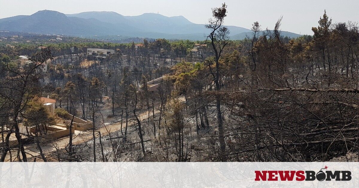 Φωτιές στην Ελλάδα - Πυρόπληκτοι: Πότε θα ανοίξει η πλατφόρμα για τις ...