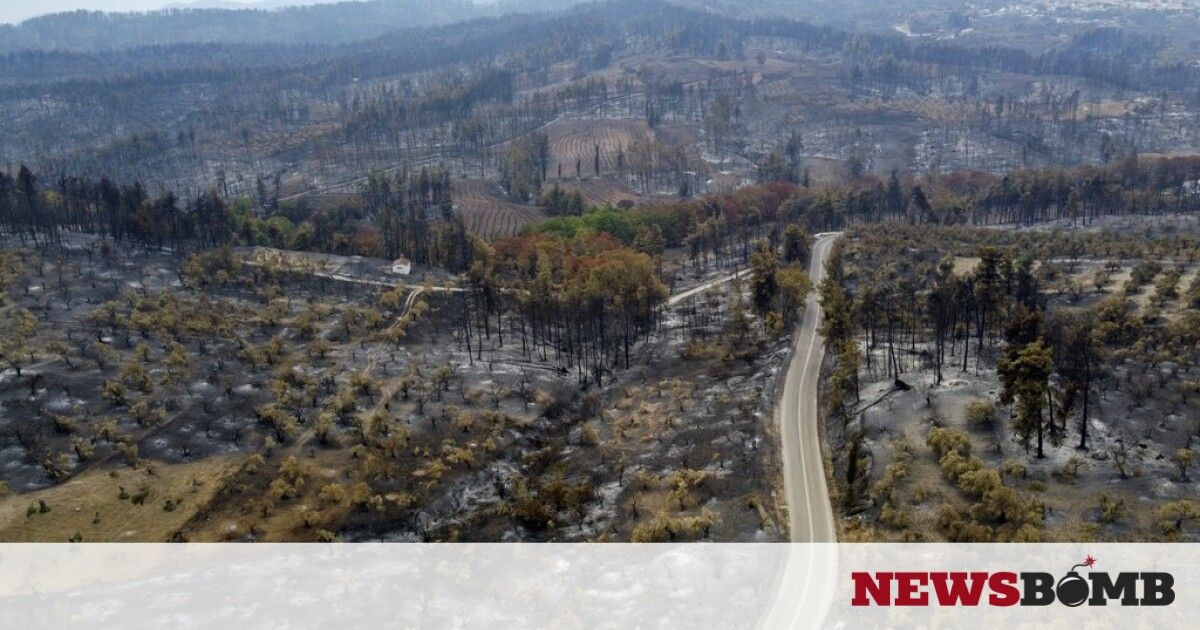 Παράταση στην απαγόρευση μετακίνησης, διέλευσης ή παραμονής σε δάση και ...