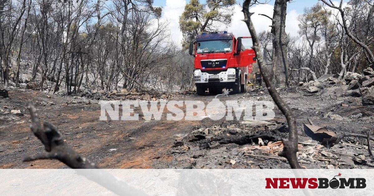 Το σχέδιο κατά των εμπρηστών: Επί ποδός 1.000 αστυνομικοί - Στη μάχη ...