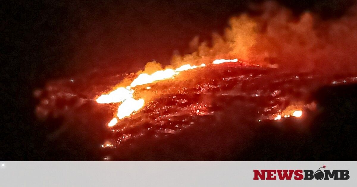 Φωτιές στην Ελλάδα: Παραμένουν οι δυνάμεις στα Βίλια, 34 νέες δασικές ...