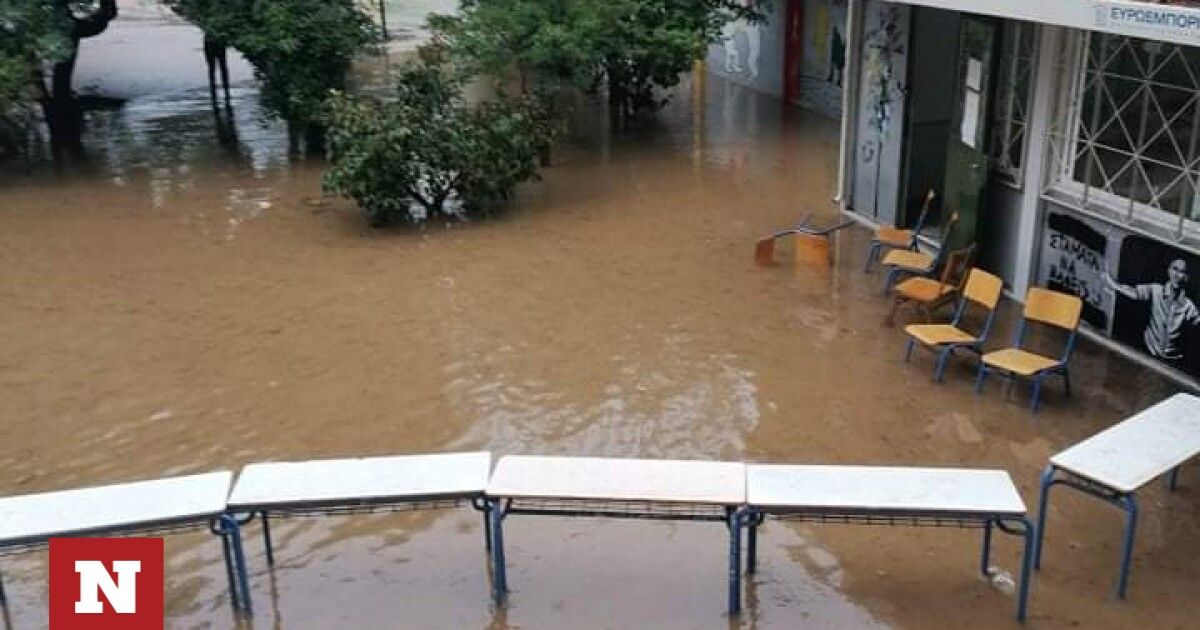 Ντροπή σας, ρε ξεφτίλες! - Newsbomb