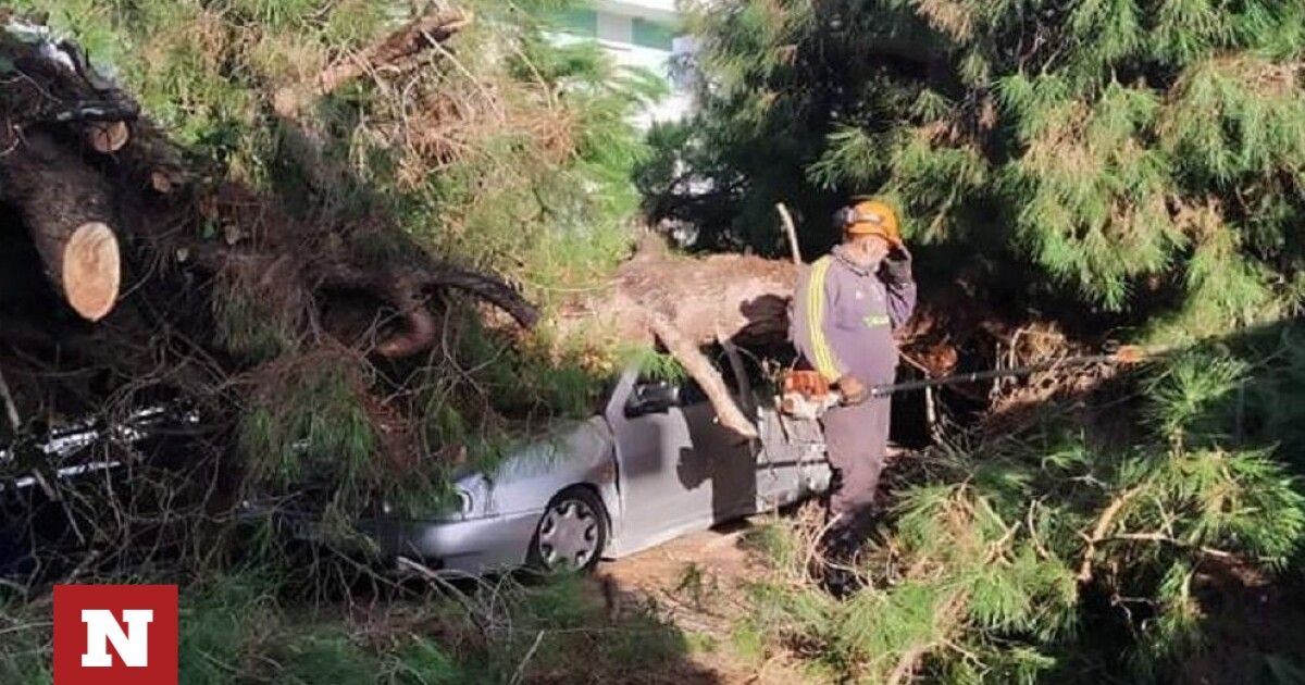 Θεσσαλονίκη: Δέντρο έπεσε πάνω σε πολυκατοικία στο κέντρο της ...