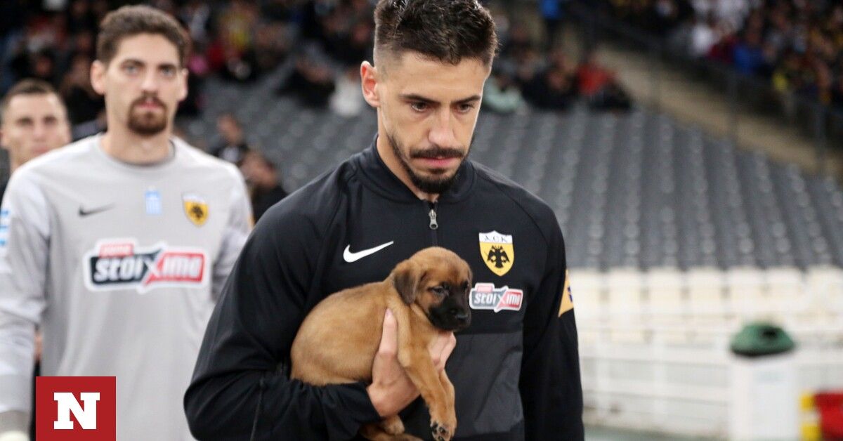 Super League: Όμορφη κίνηση από την ΑΕΚ – Με αδέσποτα κουτάβια στην ...