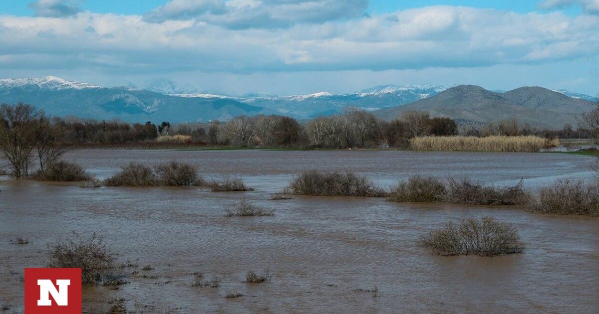 Τρίκαλα: Ζημιές σε βαμβάκι, αμπέλια και καπνό από τις βροχοπτώσεις ...