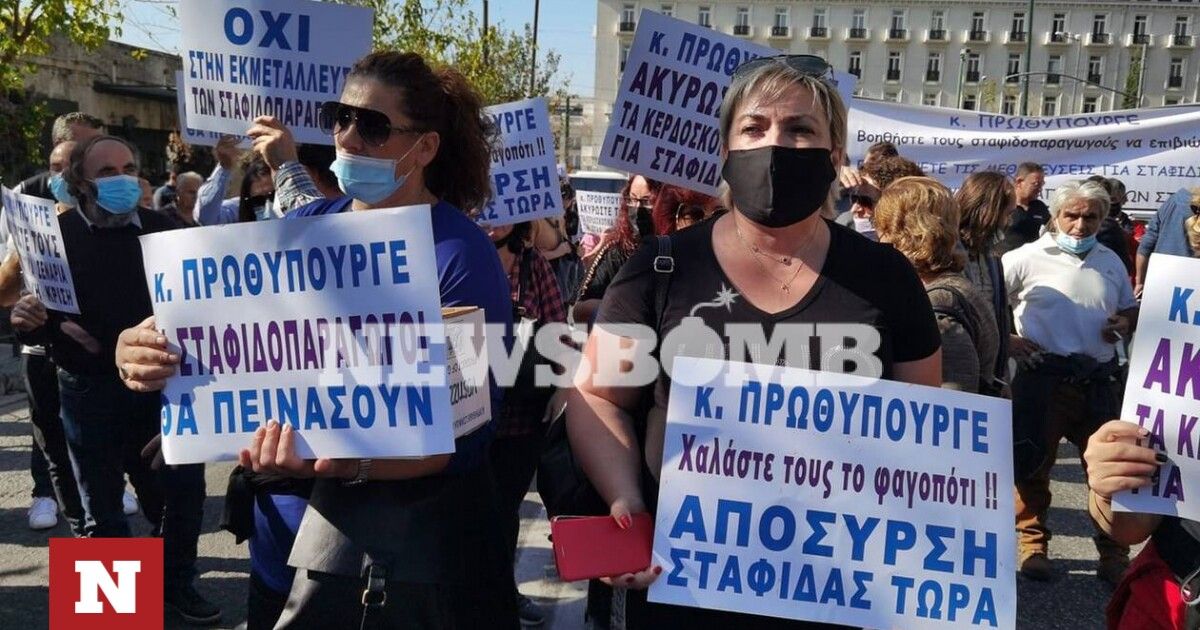 Κινητοποιήσεις: Διαμαρτυρία σταφιδοπαραγωγών και Κρητών αγροτών στο ...