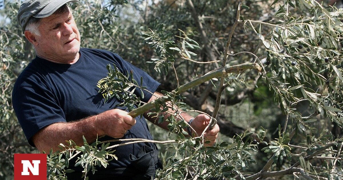 Χαλκιδική: Τη στήριξη του υπουργείου Αγροτικής Ανάπτυξης ζητούν οι ...