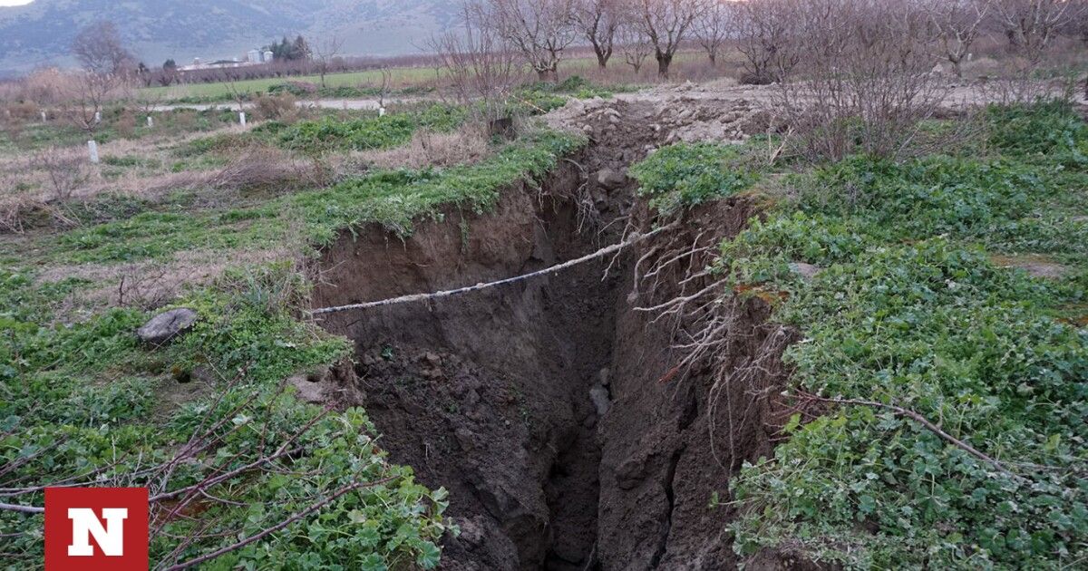 Λάρισα: Άνοιξε η γη στα δύο και «κατάπιε» δέντρα στο Καλοχώρι του Δήμου ...