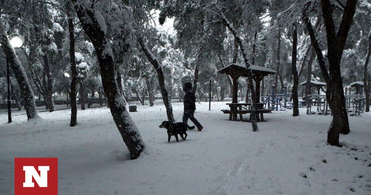 Αρνιακός στο Newsbomb.gr: «Τα φαινόμενα θα κορυφωθούν σήμερα - Χιόνια ...