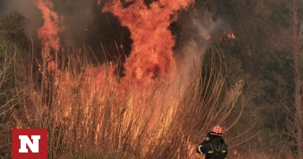 Ενισχύονται οι δυνάμεις στη δασική πυρκαγιά της Σάμου - Newsbomb