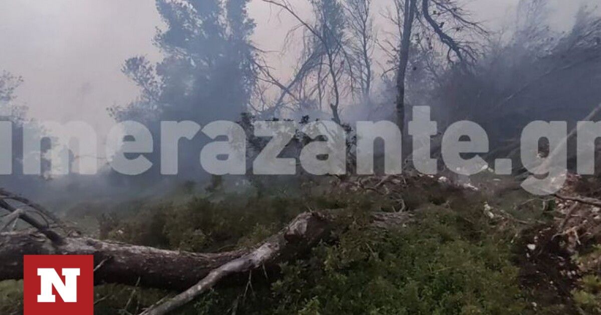 Φωτιά τώρα στη Ζάκυνθο - Επί ποδός η Πυροσβεστική - Newsbomb