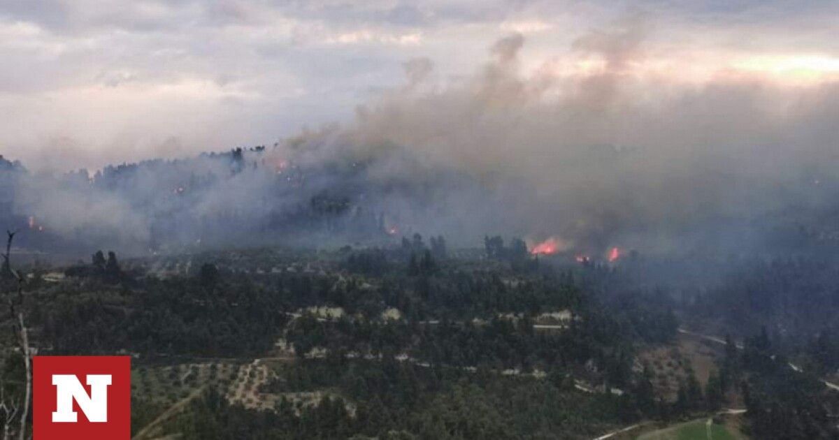 Χαλκιδική: Σε ύφεση η μεγάλη φωτιά - Ξεκίνησε από ιδιώτη που έκαιγε ...
