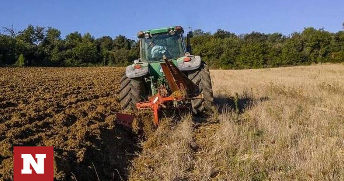 Διαγράφονται χρέη αγροτών μέσα από τη διαδικασία του συμψηφισμού - Newsbomb