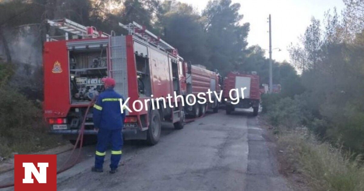Κόρινθος: Πυρκαγιά σε δασική έκταση στις Κεχριές - Newsbomb