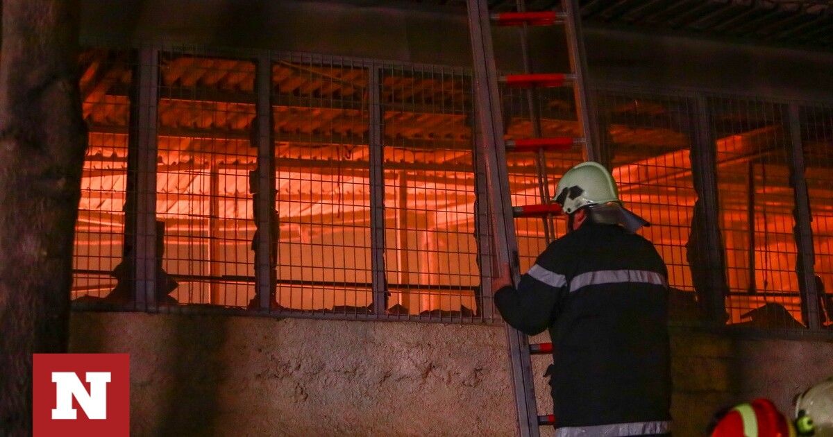 Φωτιά τώρα: Στις φλόγες αποθήκη στον Άγιο Ιωάννη Ρέντη - Newsbomb
