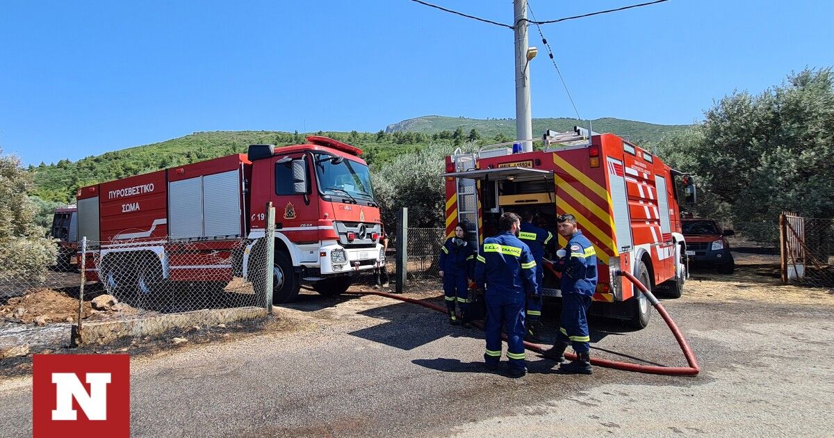 Ασπρόπυργος: Υπό μερικό έλεγχο η πυρκαγιά που ξέσπασε σε δασική έκταση ...