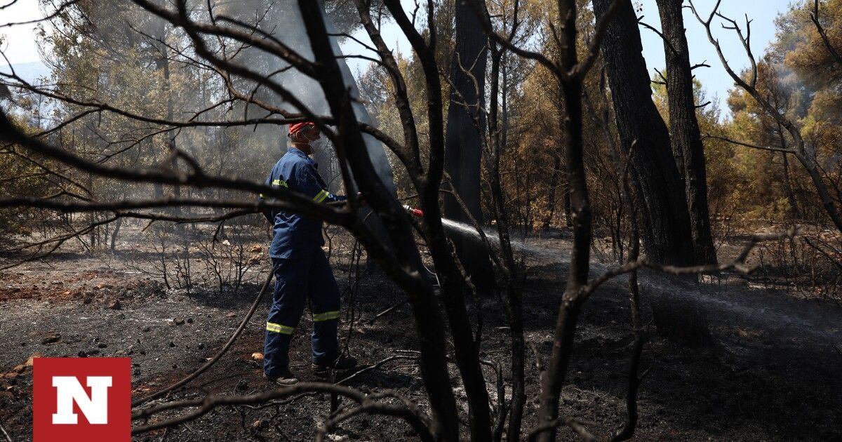 Υψηλός κίνδυνος πυρκαγιάς σε 11 περιοχές την Κυριακή – Συναγερμός στην ...