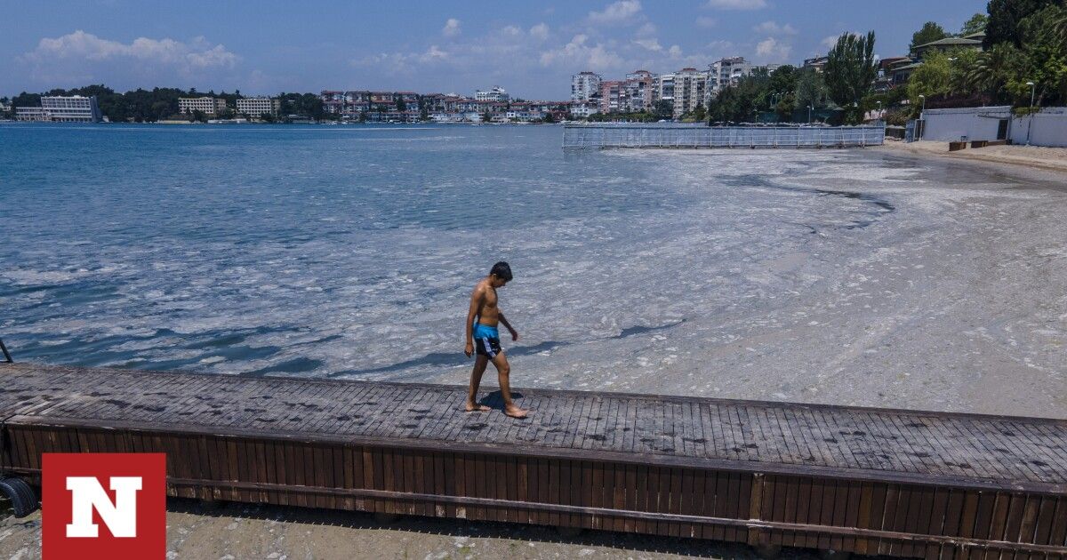 Ξεκάθαρος ο Οικονόμου για το «Turkagean»: «Θα υπάρξει άμεσα προσφυγή ...