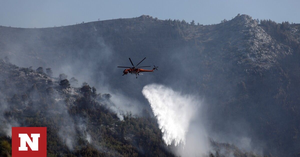 Έκτακτη ενημέρωση από την Πυροσβεστική: 65 δασικές πυρκαγιές το ...