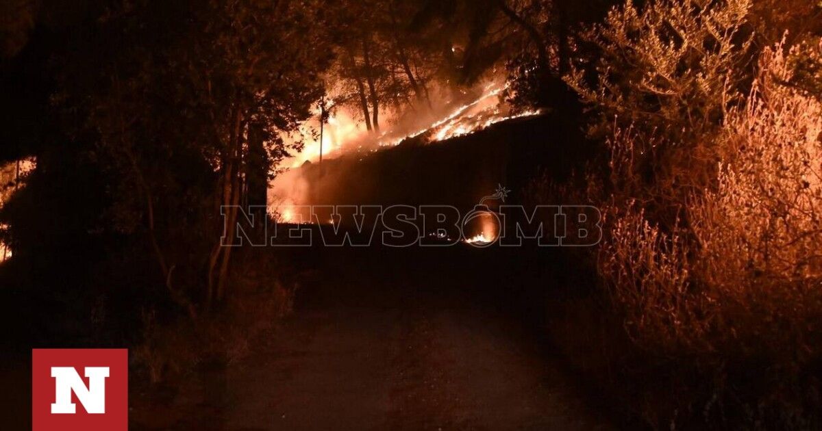 Φωτιά: Ολονύχτια η «μάχη με το θηρίο» στη Φωκίδα - Το Newsbomb.gr στο ...