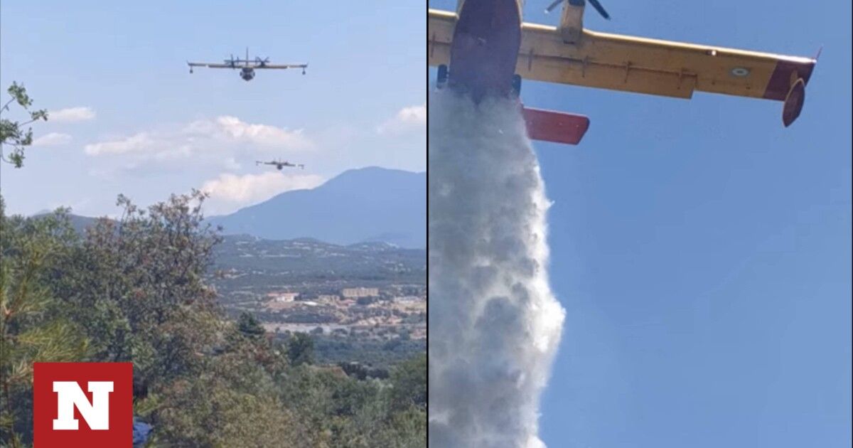 Φωτιά στις Σέρρες: Καναντέρ κάνει ρίψη νερού πάνω από πυροσβέστες ...