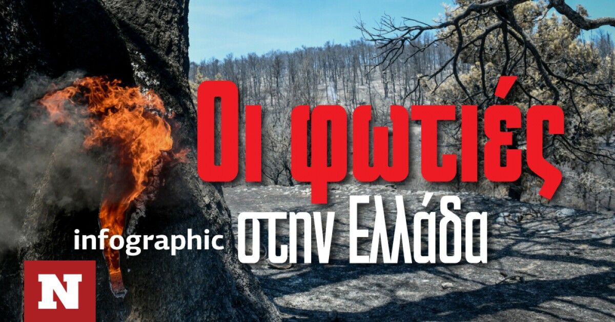 Τα δάση στην Ελλάδα απειλούνται με εξαφάνιση – Καταστροφική η επίδραση ...