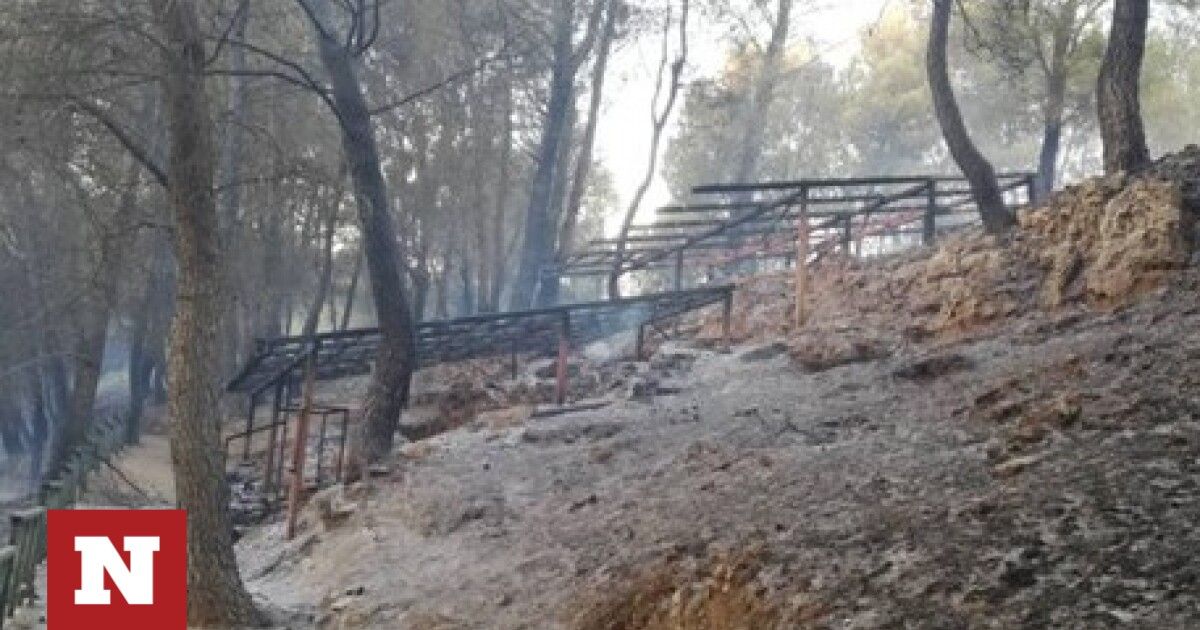ΥΠΠΟΑ: Το μυκηναϊκό νεκροταφείο στην Αχαΐα και η πυρκαγιά της 3ης ...