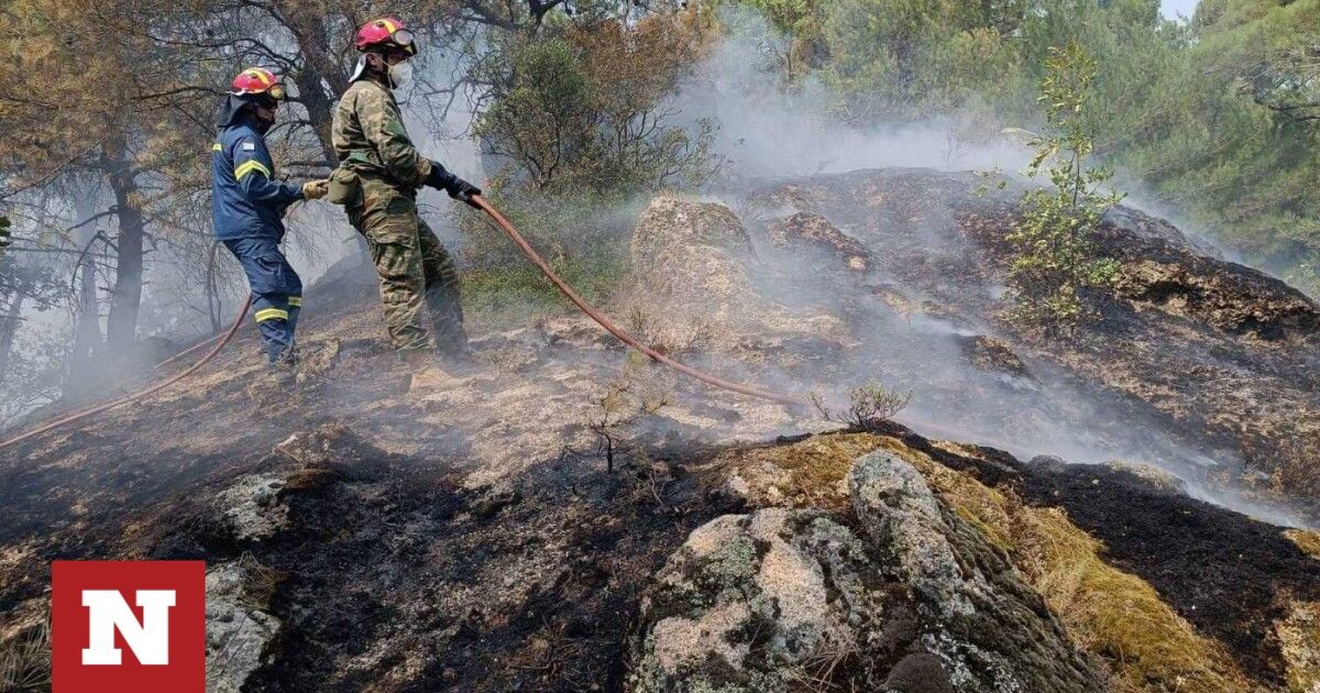 Οι «ήρωες του Έβρου» - Μάχη πυροσβεστών και στρατιωτικών για να σωθεί ...