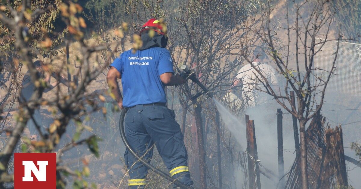 Ρεπορτάζ Newsbomb.gr: Καθησυχαστικός ο δήμαρχος Ανδρίτσαινας ...