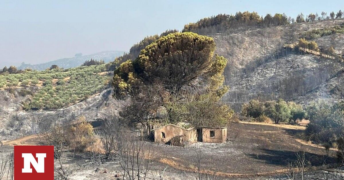 Μάχη με τις φωτιές: 58 πυρκαγιές το τελευταίο 24ωρο στη χώρα - Live οι ...